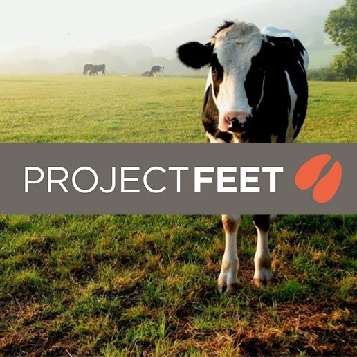 vetPartners Project FEET - Farmacy