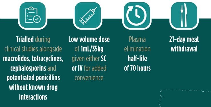 Rimadyl Cattle - Zero Milk Withdrawal NSAID - Farmacy