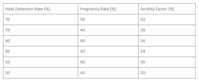 How to manage a tight block calving - Farmacy
