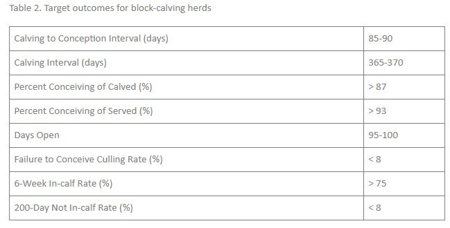 How to manage a tight block calving - Farmacy