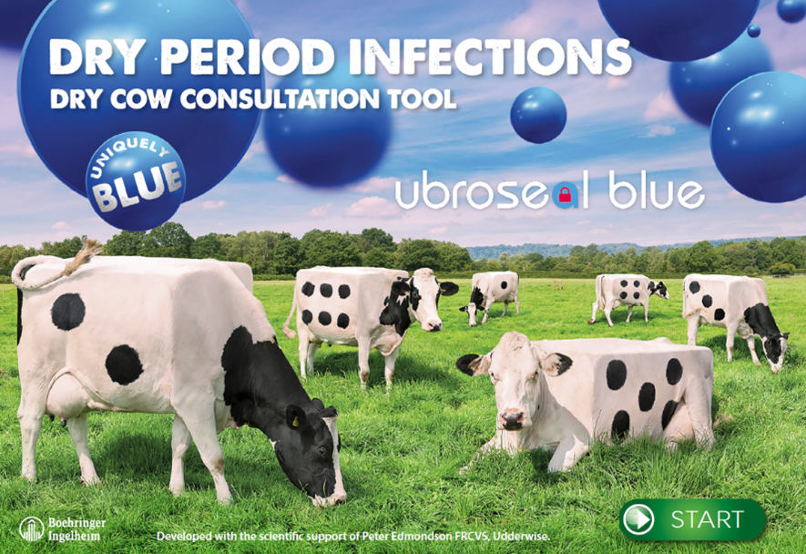 Keeping early lactation mastitis under control - Farmacy