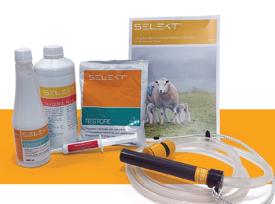 Free Lambing Course - 1st March - Farmacy