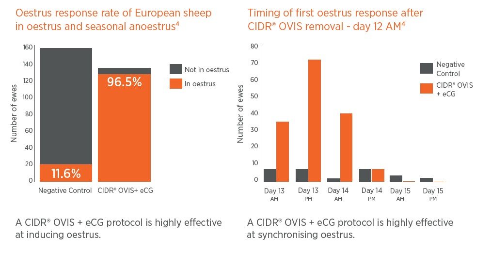 Why improve flock fertility? - Farmacy