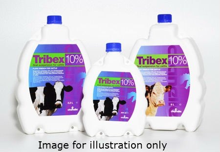Chanelle Tribex 10% Oral Suspension for Cattle - Farmacy