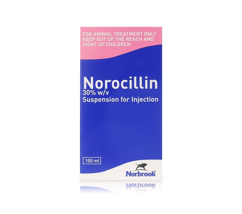 Norbrook Norocillin 30% Injection 100ml - Farmacy