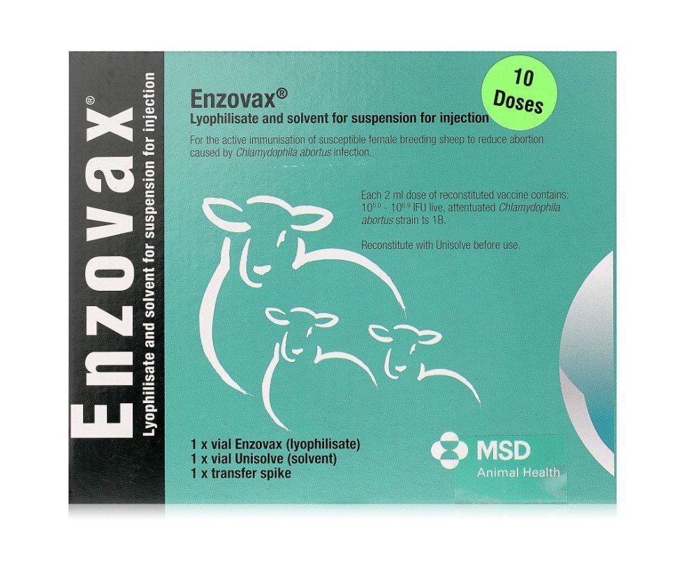 MSD Enzovax - Farmacy