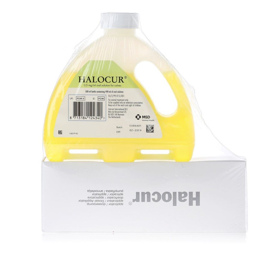 MSD Halocur 0.5mg/ml Oral Solution - Farmacy