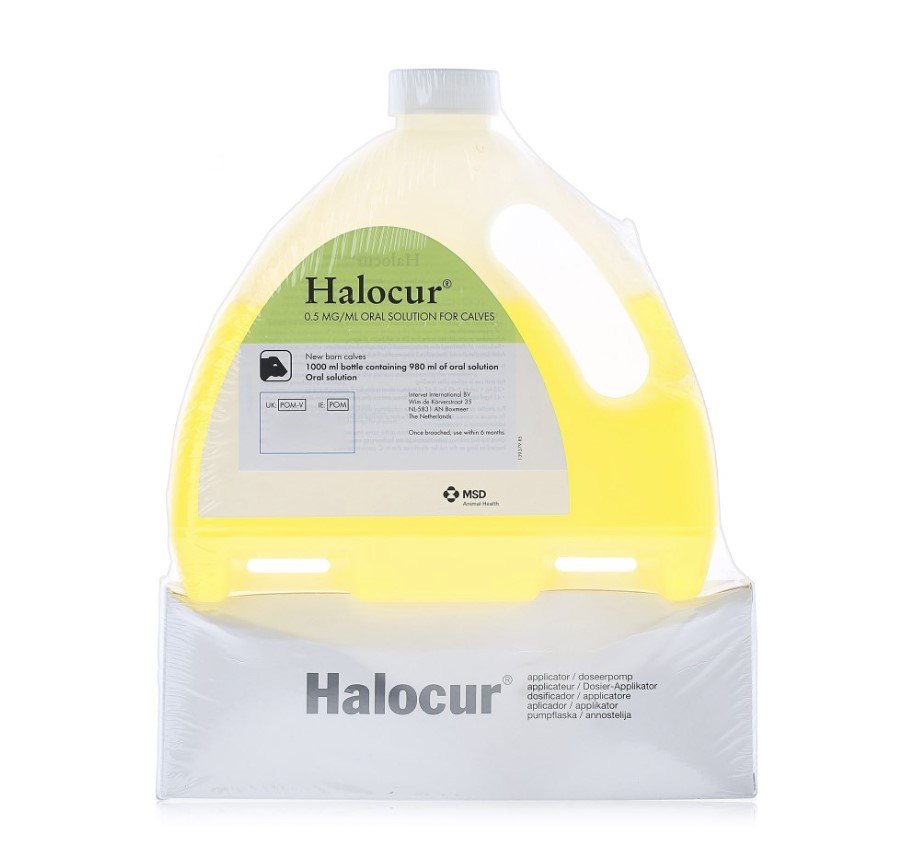 MSD Halocur 0.5mg/ml Oral Solution - Farmacy