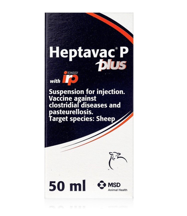 MSD Heptavac P Plus - Farmacy
