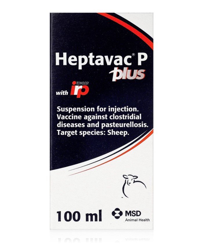 MSD Heptavac P Plus - Farmacy