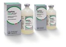 Boehringer Ingelheim Ingelvac CircoFLEX - Farmacy