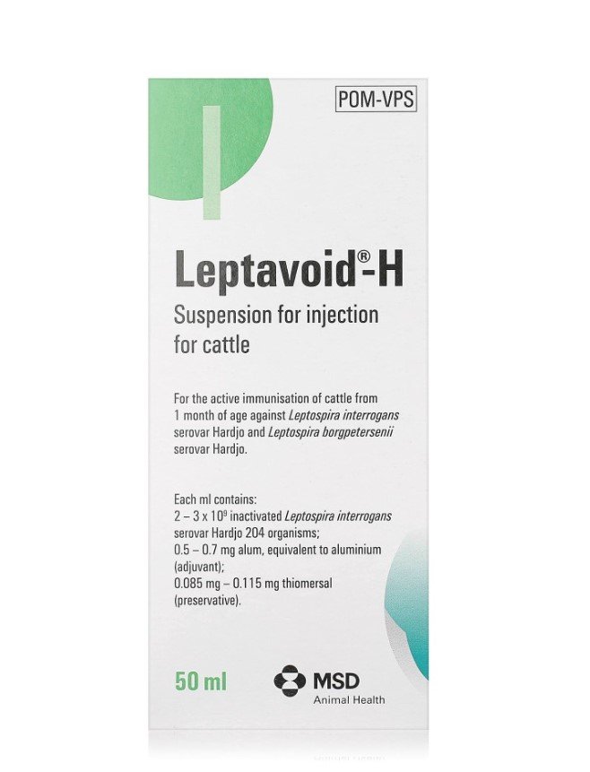 MSD Leptavoid H Susp. for Injection - Farmacy