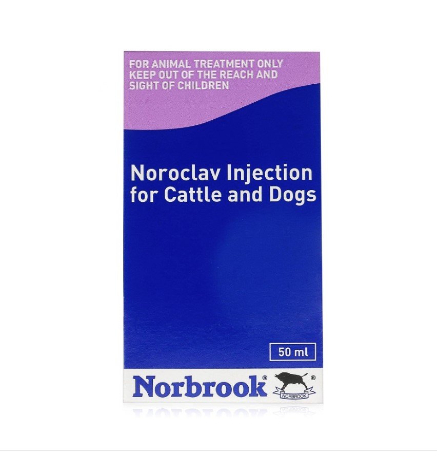 Norbrook Noroclav Injection - Farmacy