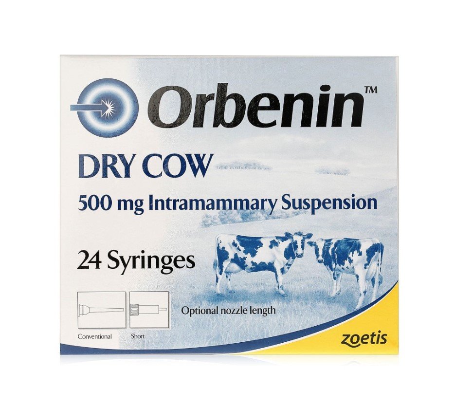 Zoetis Orbenin Dry Cow 500mg Intramammary Solution - Farmacy