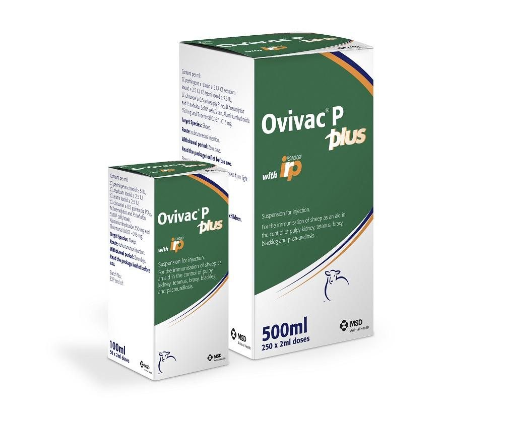MSD Ovivac P Plus - Farmacy