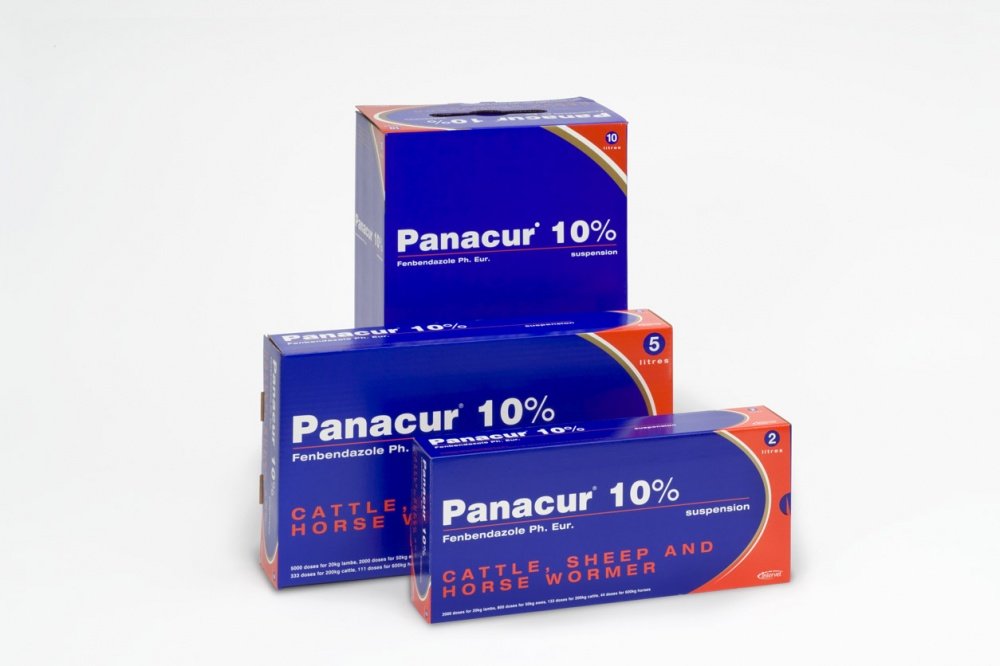 MSD Panacur 10% Oral Suspension - Farmacy