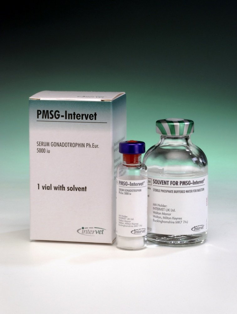 MSD PMSG 5000IU Powder + Solvent for Sol. for Injection - Farmacy