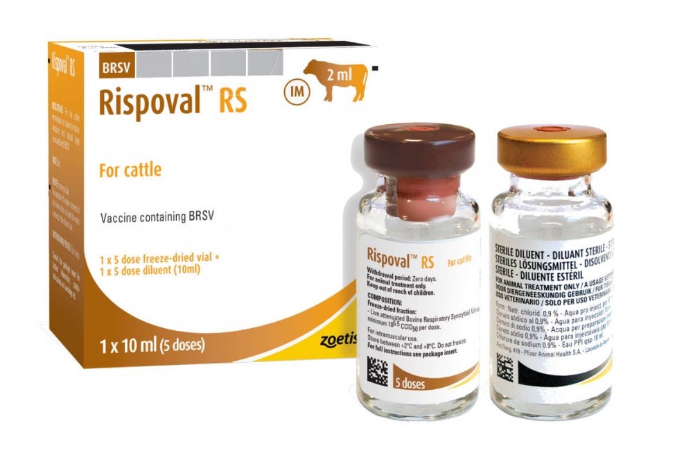 Zoetis Rispoval RS 5 dose - Farmacy