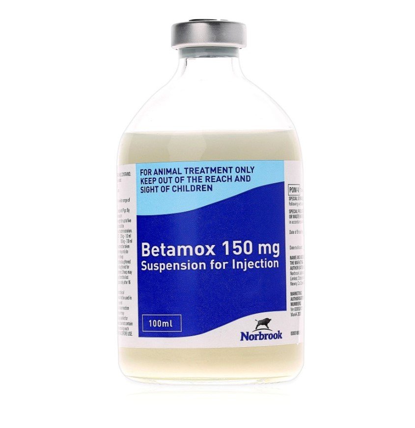 Norbrook Betamox 150mg/ml Injection 100ml - Farmacy