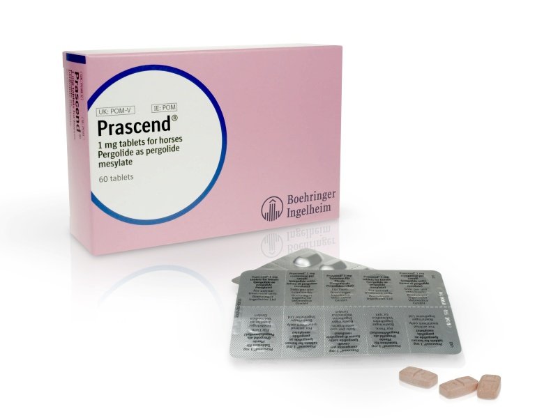 Boehringer Ingelheim Prascend Tablets 1mg Equine - Farmacy