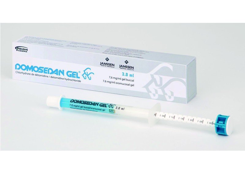 Domosedan Gel 7.6mg/ml Oromucosal Gel 3ml - Farmacy