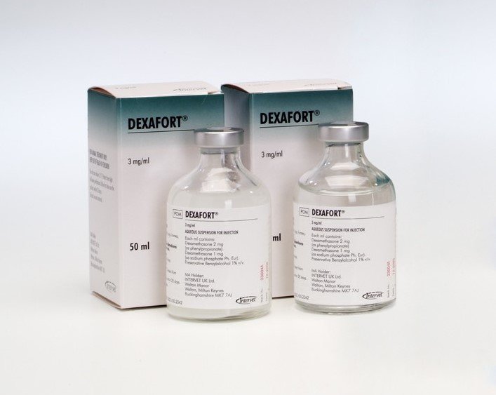 MSD Dexafort Injection 50ml - Farmacy