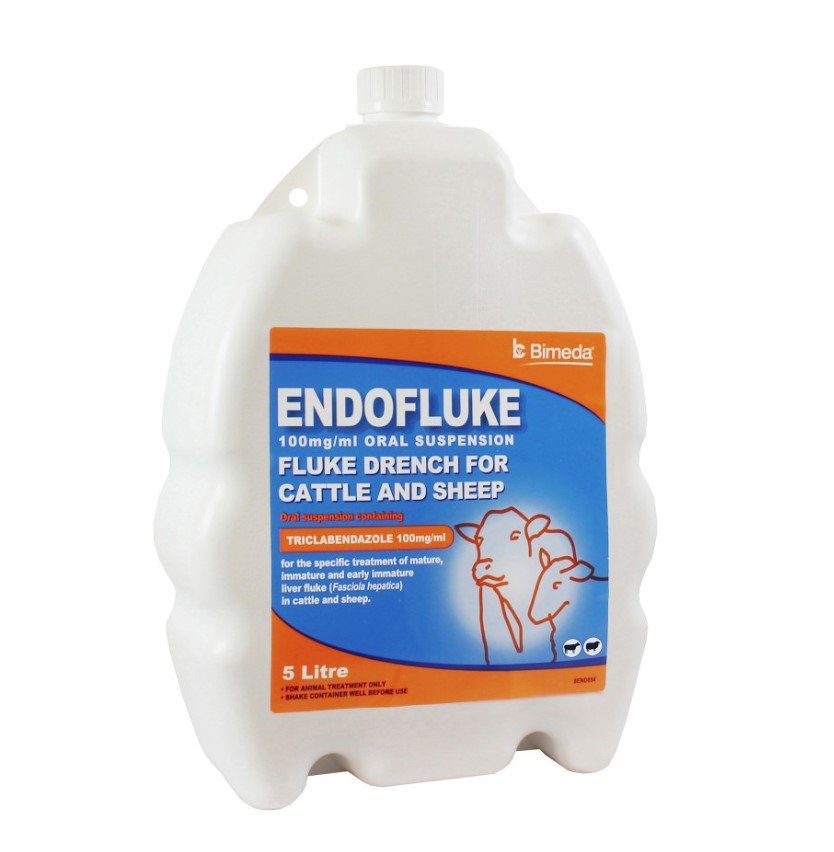 Bimeda Endofluke 100mg/ml Oral Suspension - Farmacy