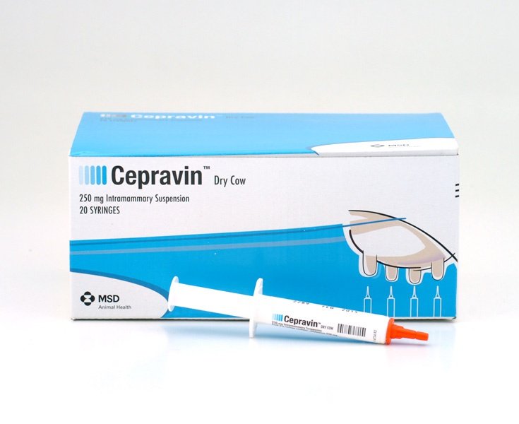 MSD Cepravin Dry Cow 250mg Intramammary Susp. - Farmacy