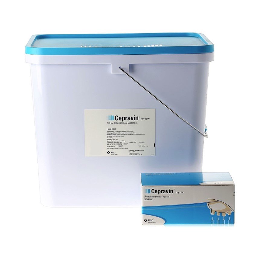 MSD Cepravin Dry Cow 250mg Intramammary Susp. - Farmacy