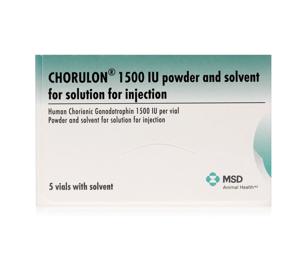 MSD Chorulon 1500iu Powder & Solvent for Sol. for Injection 5 pack ...