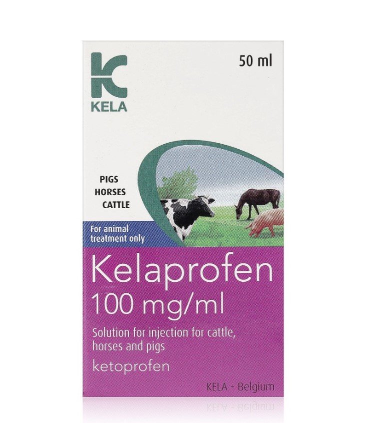 Kelaprofen 100mg/ml Injection - Farmacy
