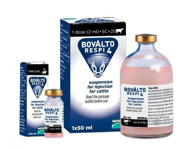 Boehringer Ingelheim Bovalto Respi 4 Susp for Injection - Farmacy