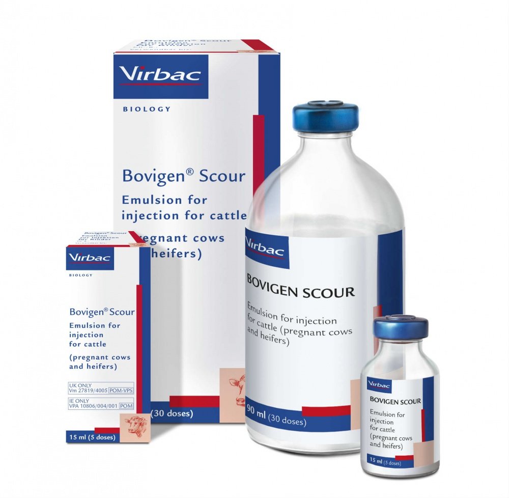 Virbac Bovigen Scour Emulsion for Injection - Farmacy