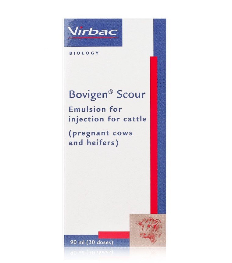 Virbac Bovigen Scour Emulsion for Injection - Farmacy