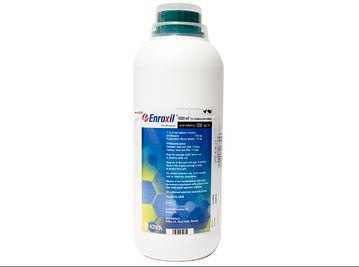 Dechra Enroxil 100 mg/ml Oral Solution 1L - Farmacy