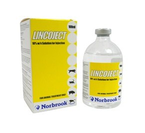 Norbrook Lincoject 10% Injection 100ml - Farmacy