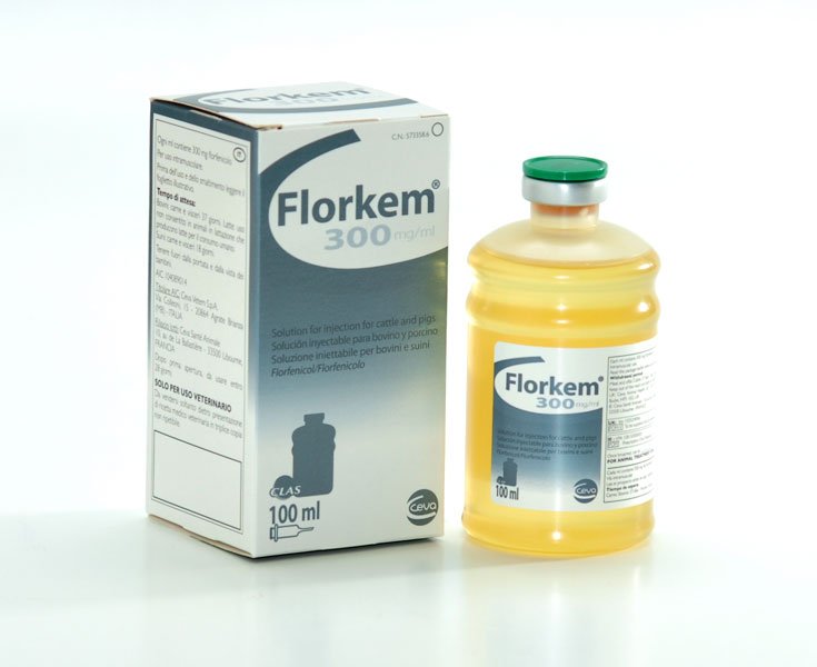 CEVA Florkem 300 mg/ml Injection - Farmacy