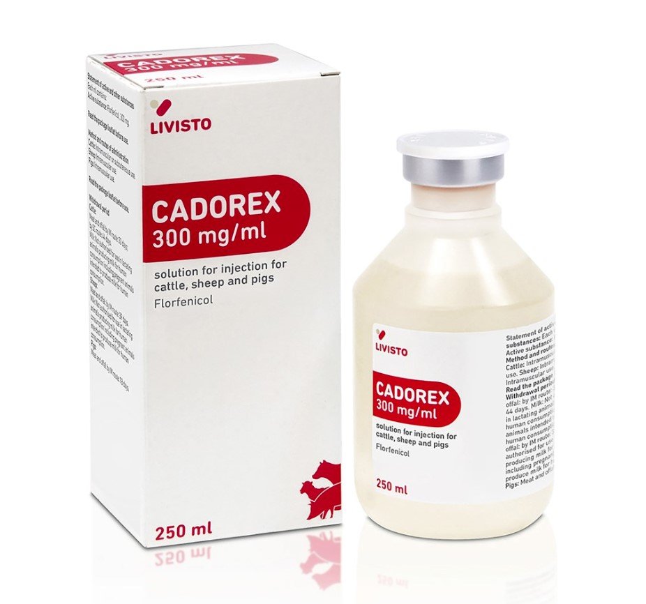 Forte Healthcare Ltd Cadorex 300 mg/ml Injection 100ml - Farmacy