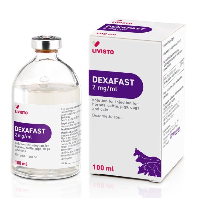 Forte Healthcare Ltd Dexafast 2 mg/ml Injection - Farmacy