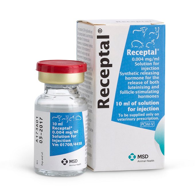 MSD Receptal 0.004mg/ml Injection - Farmacy