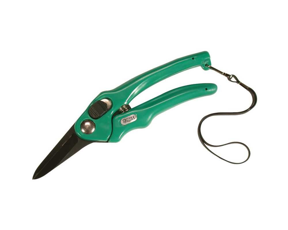 Burgon and Ball Supersharp Foot Rot Shears - Farmacy