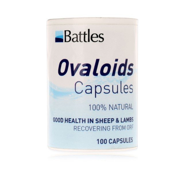 Battles Ovaloid Capsules 100 pack - Farmacy