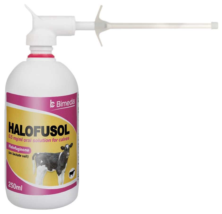 Bimeda Halofusol 0.5 mg/ml Oral Solution for Calves - Farmacy