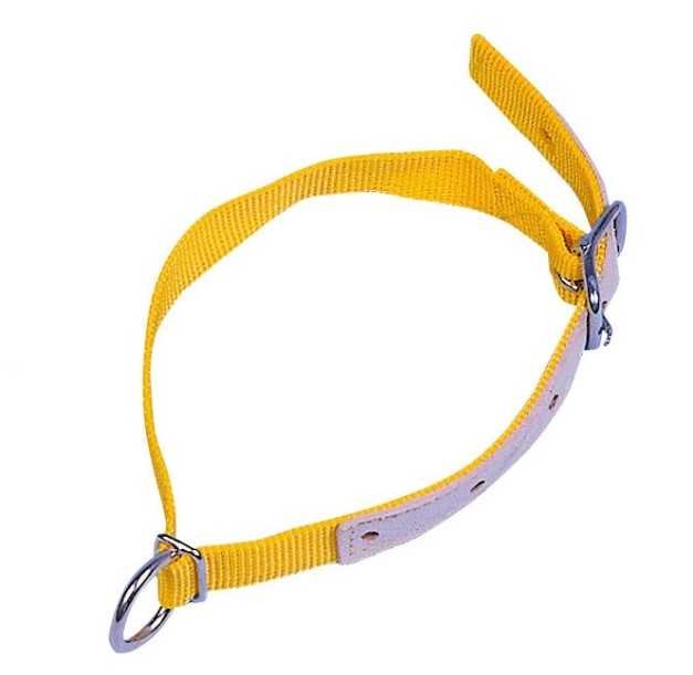 Sheep Collar - Farmacy