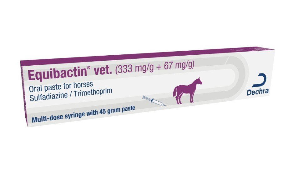 Dechra Equibactin 45g Oral Paste Syringe - Farmacy