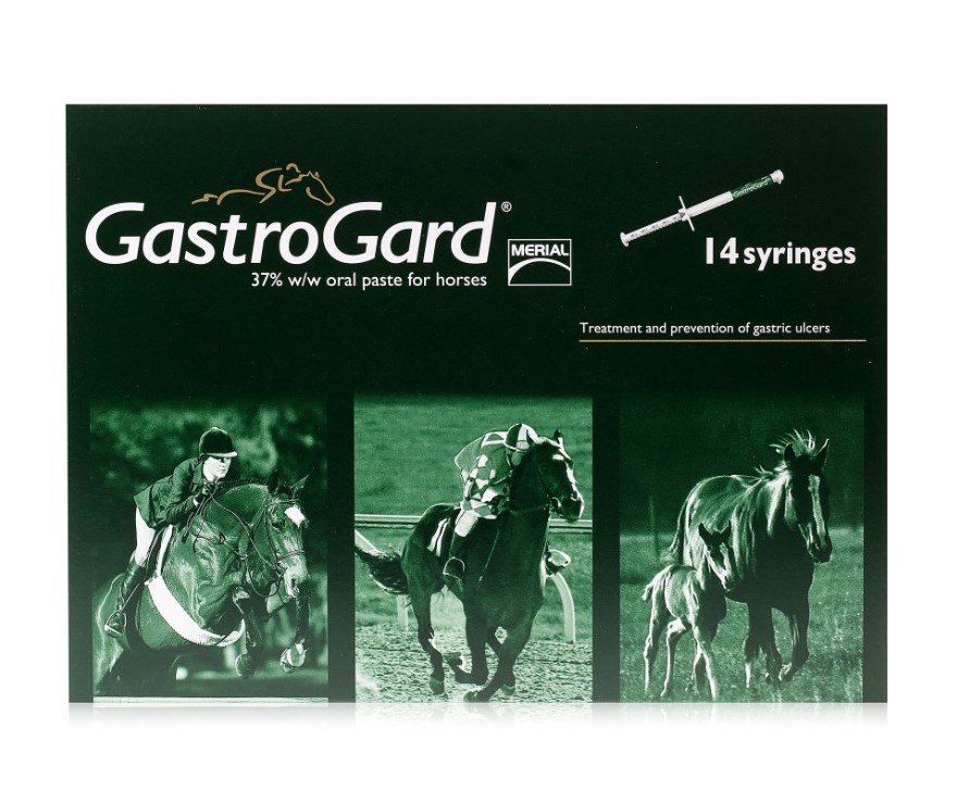 Boehringer Ingelheim GastroGard 370 mg/g Oral Paste - Farmacy