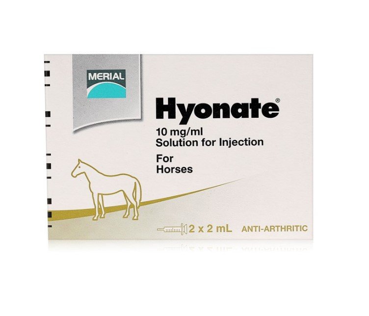 Boehringer Ingelheim Hyonate 10 mg/ml Injection 2ml x 2 pack - Farmacy