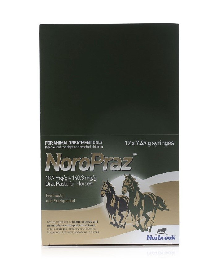 Norbrook Noropraz 18.7 mg/g + 140.3 mg/g Oral Paste - Farmacy