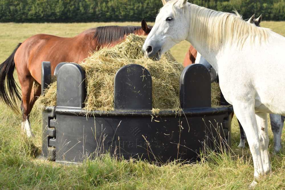 Durabale Hay Feeder - Farmacy