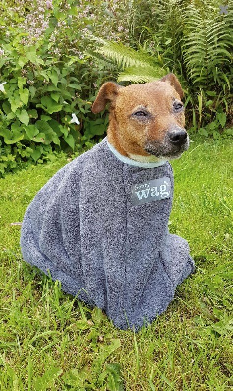 Henry Wag Microfibre Dog Drying Bag - Farmacy